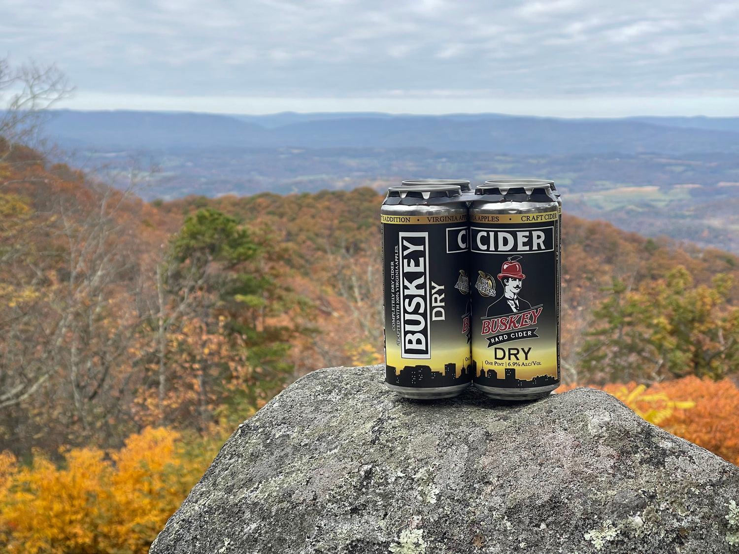 Buskey Cider | Crafted in Scott's Addition in Richmond, Virginia